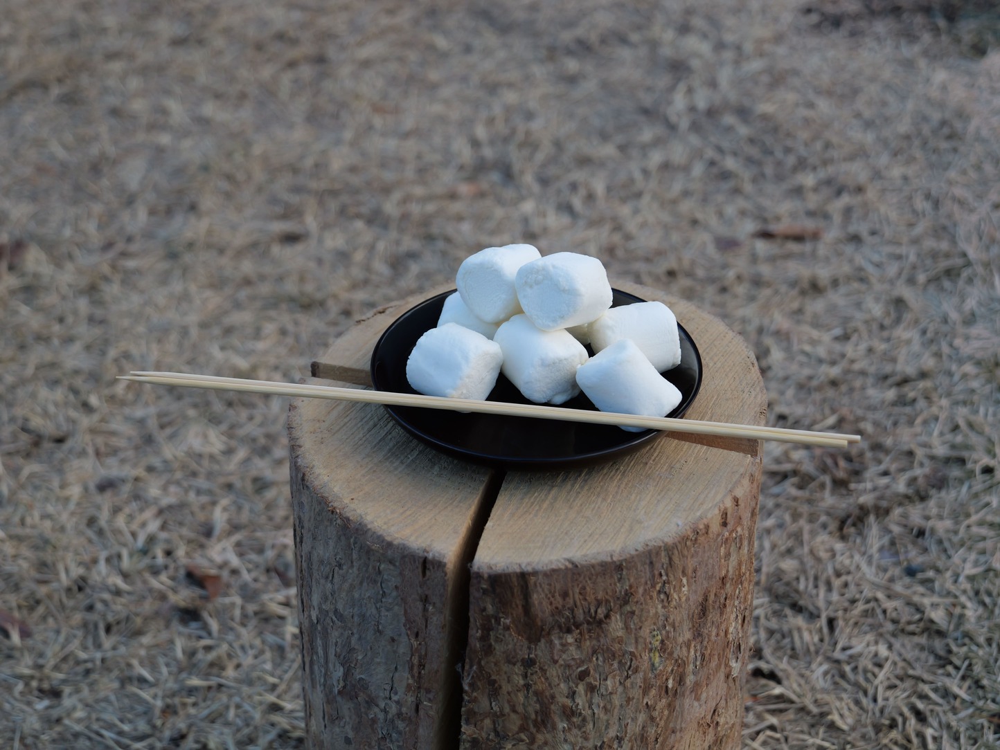 TAKIBI BASE | Yamanaka Terrace